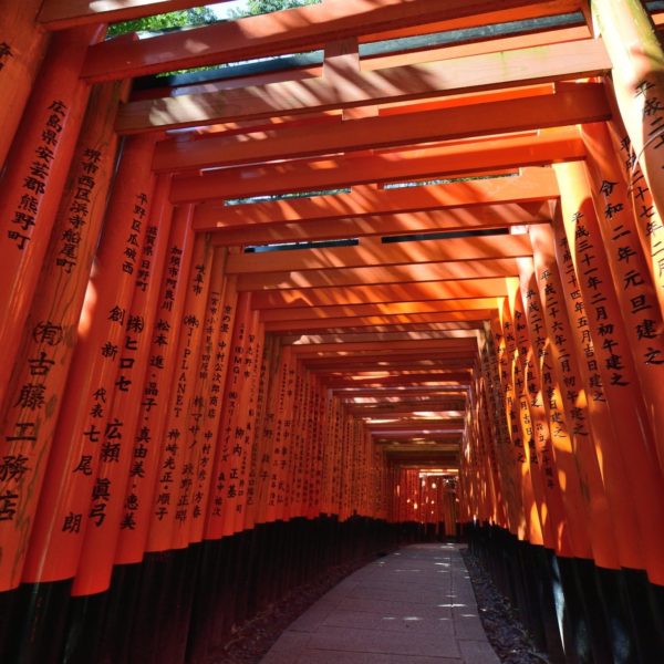 Hato Sablé: A Beloved Dove-Shaped Cookie from Kamakura