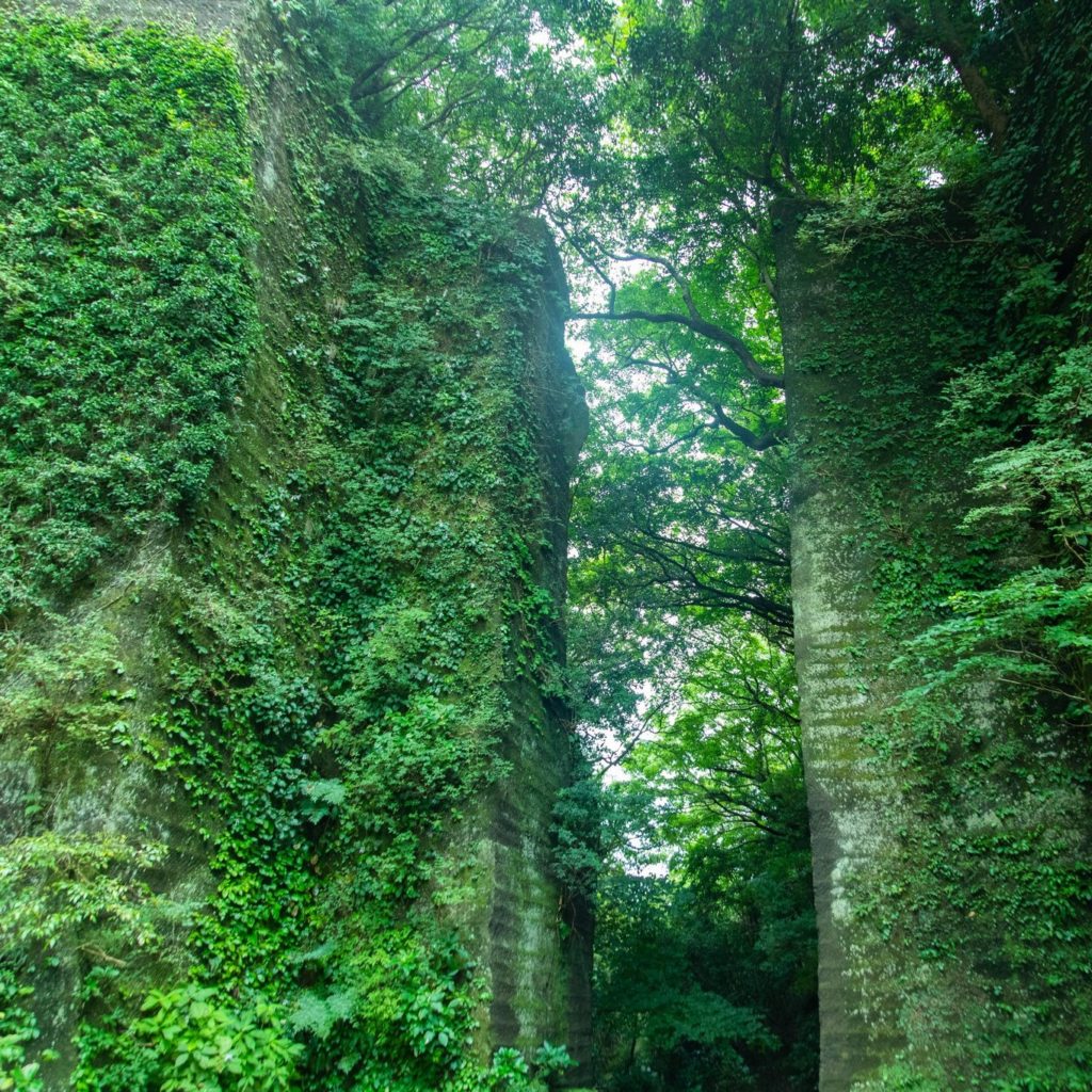 Nokogiriyama | Tabimania Japan