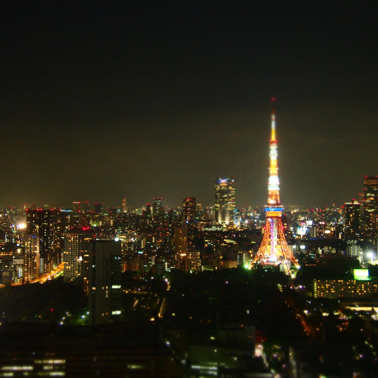Hato Sablé: A Beloved Dove-Shaped Cookie from Kamakura