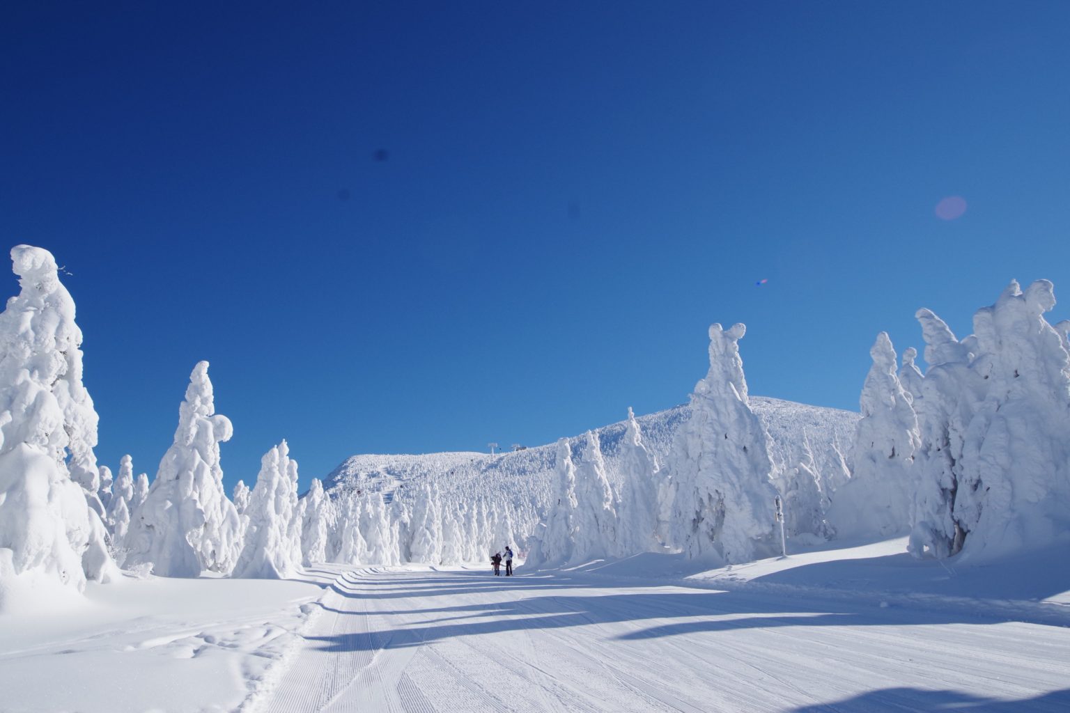 Art created by nature! "Ice Monster" Zao's ice rime is amazing ...