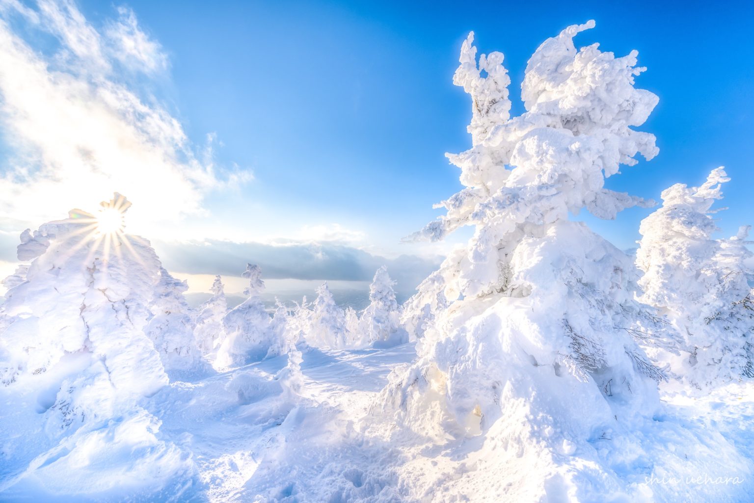 Art created by nature! "Ice Monster" Zao's ice rime is amazing ...