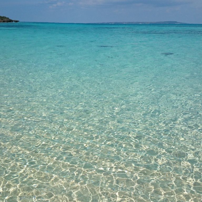 Hato Sablé: A Beloved Dove-Shaped Cookie from Kamakura