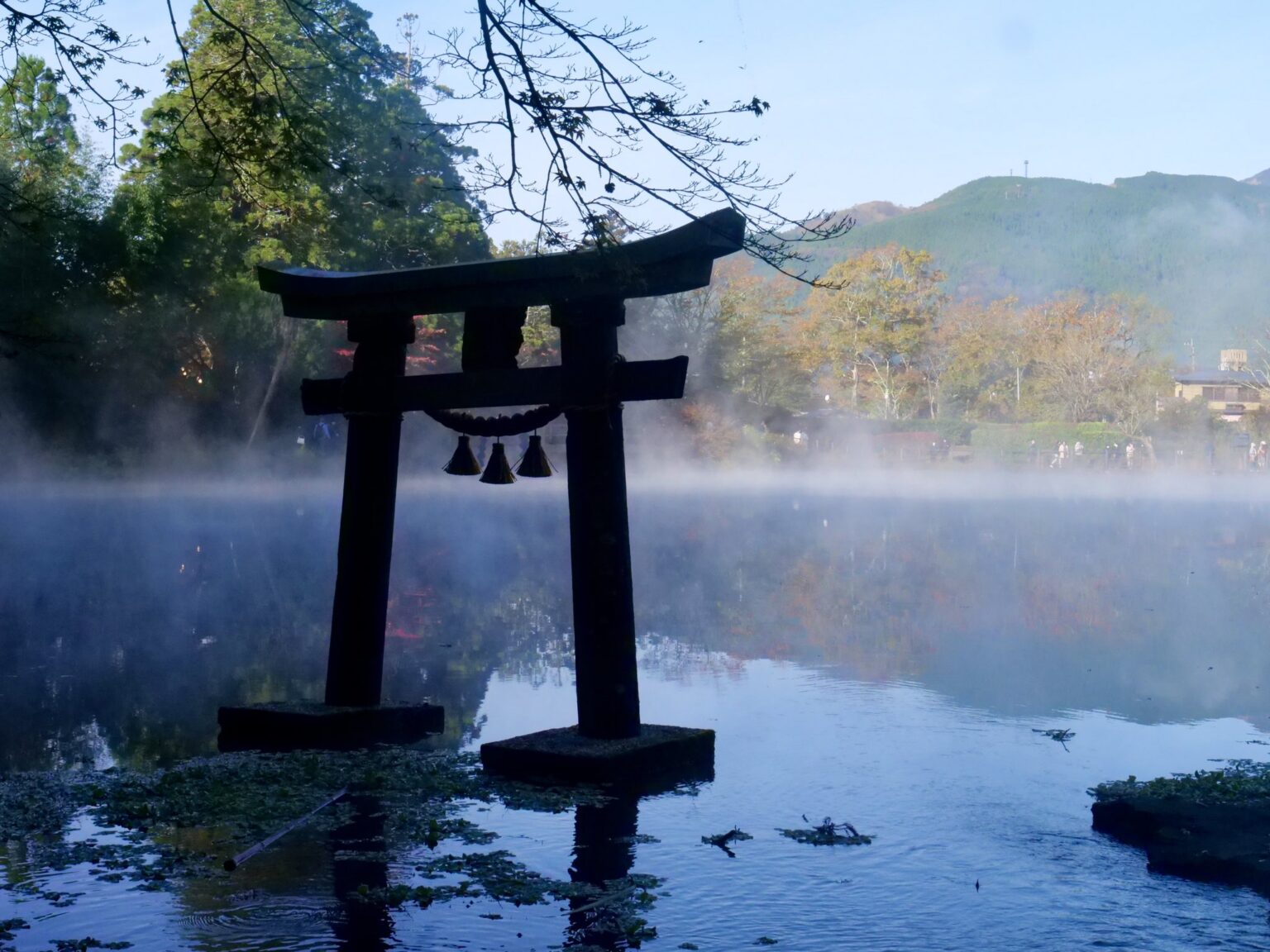 Kinrin Lake at Yufuin: Golden Reflections and the Mysterious Torii Gate