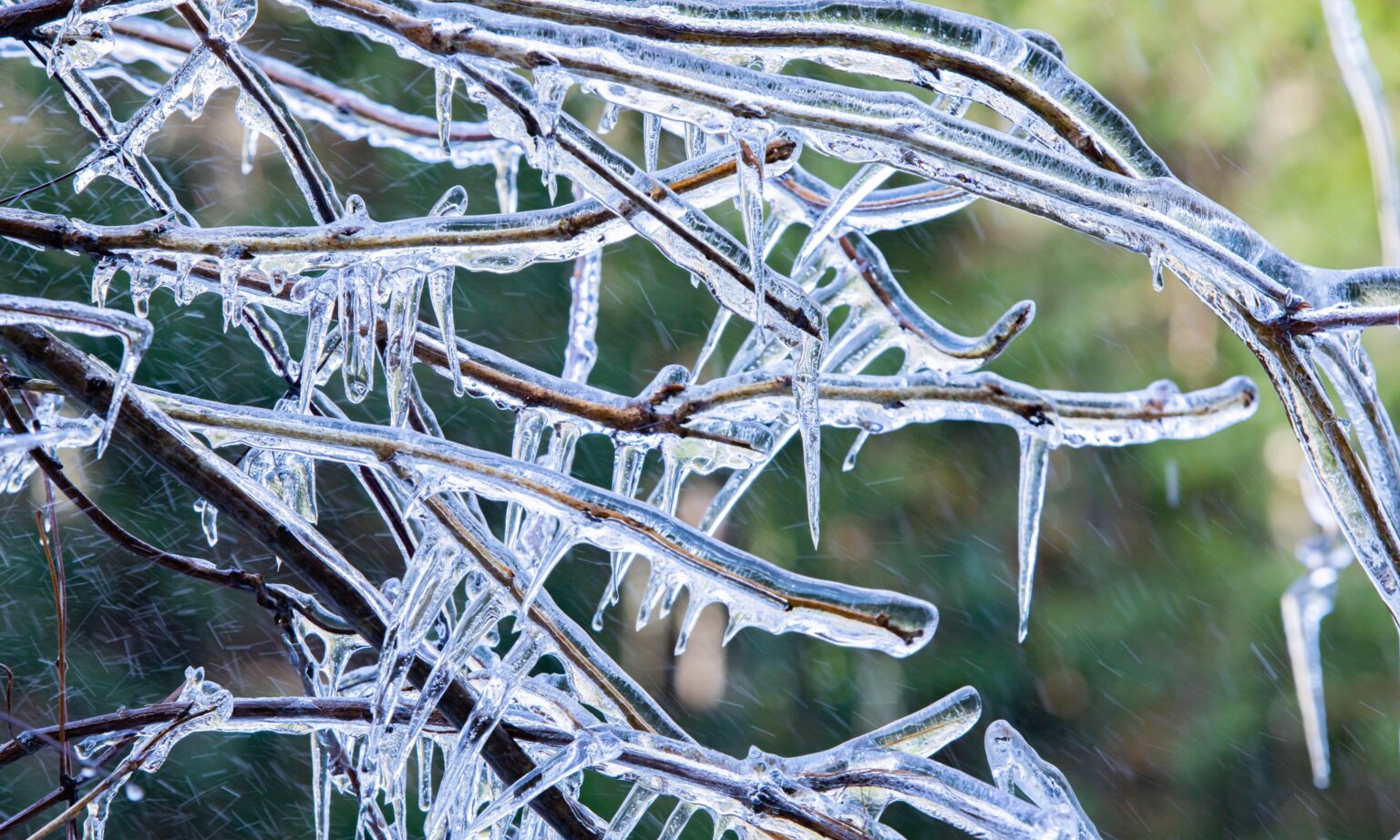 Saitama Chichibu’s Three Great Icicles – A Stunning Winter Spectacle