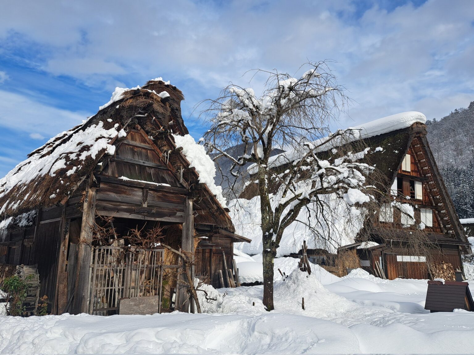 Winter in Shirakawa-go: A Snow-Covered Hidden Gem of Japan
