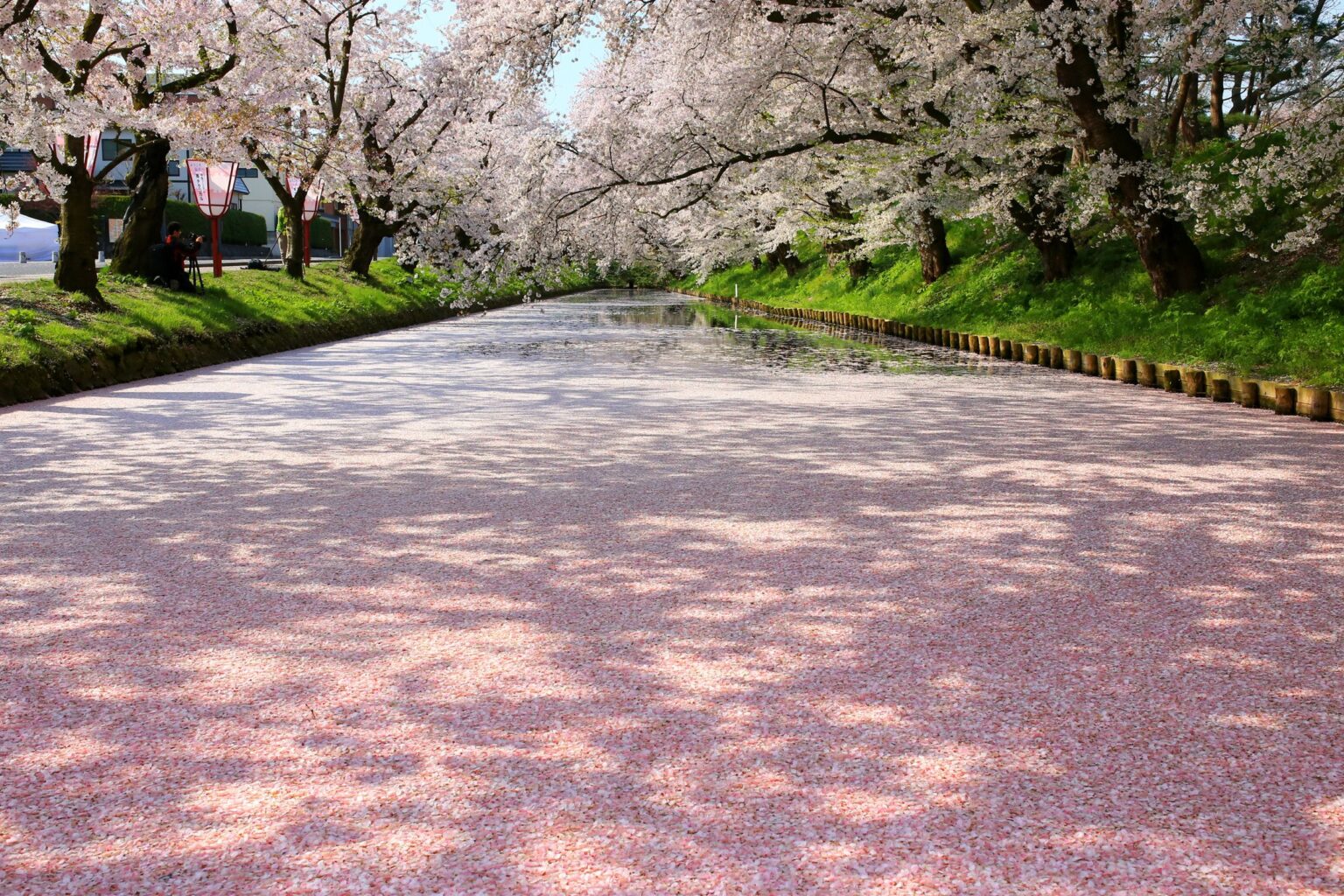 Hirosaki_castle_Aomori_Japan_Spring_sakura_river | Tabimania Japan
