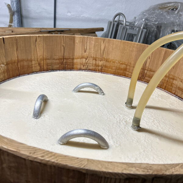 Japanese_sake_making | Tabimania Japan