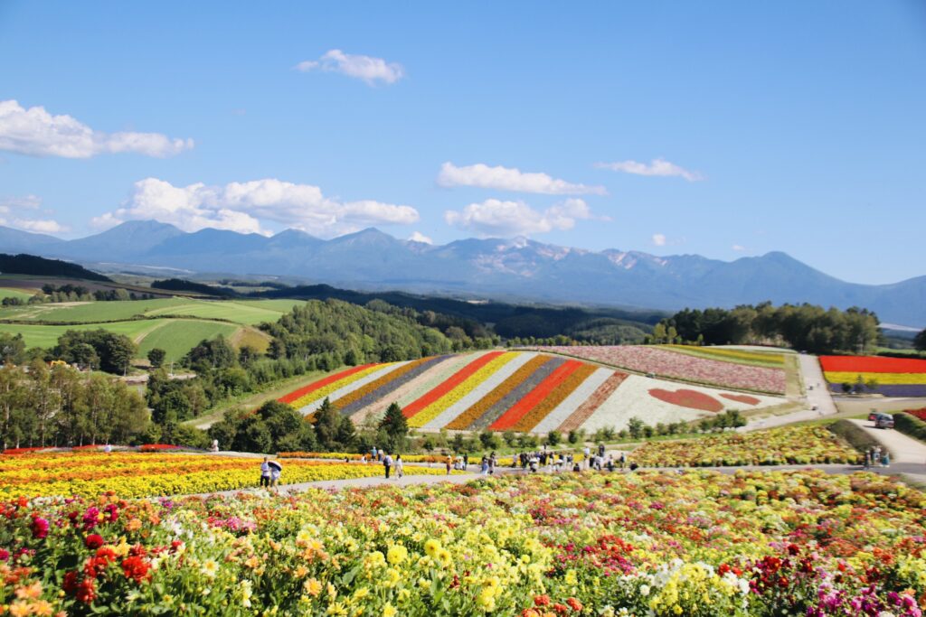 Shikisai-no-Oka: A Must-Visit Colorful Flower Field in Biei, Hokkaido