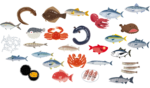 Japan’s Seasonal Seafood Calendar: Best Times to Enjoy Eating Fish