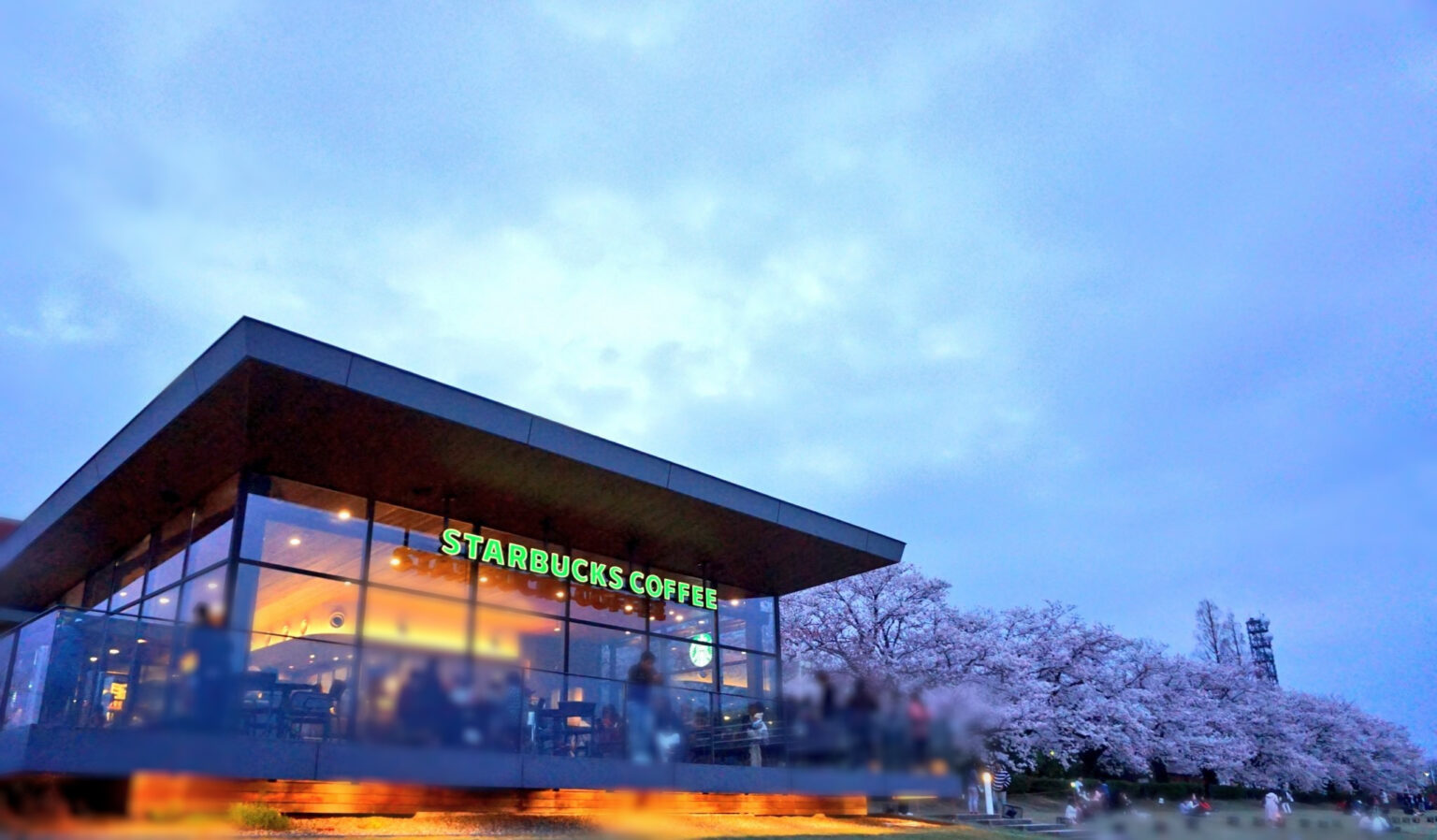 Stabucks_Japan_Toyama_Kansui_Park_store_Sakura-1 | Tabimania Japan