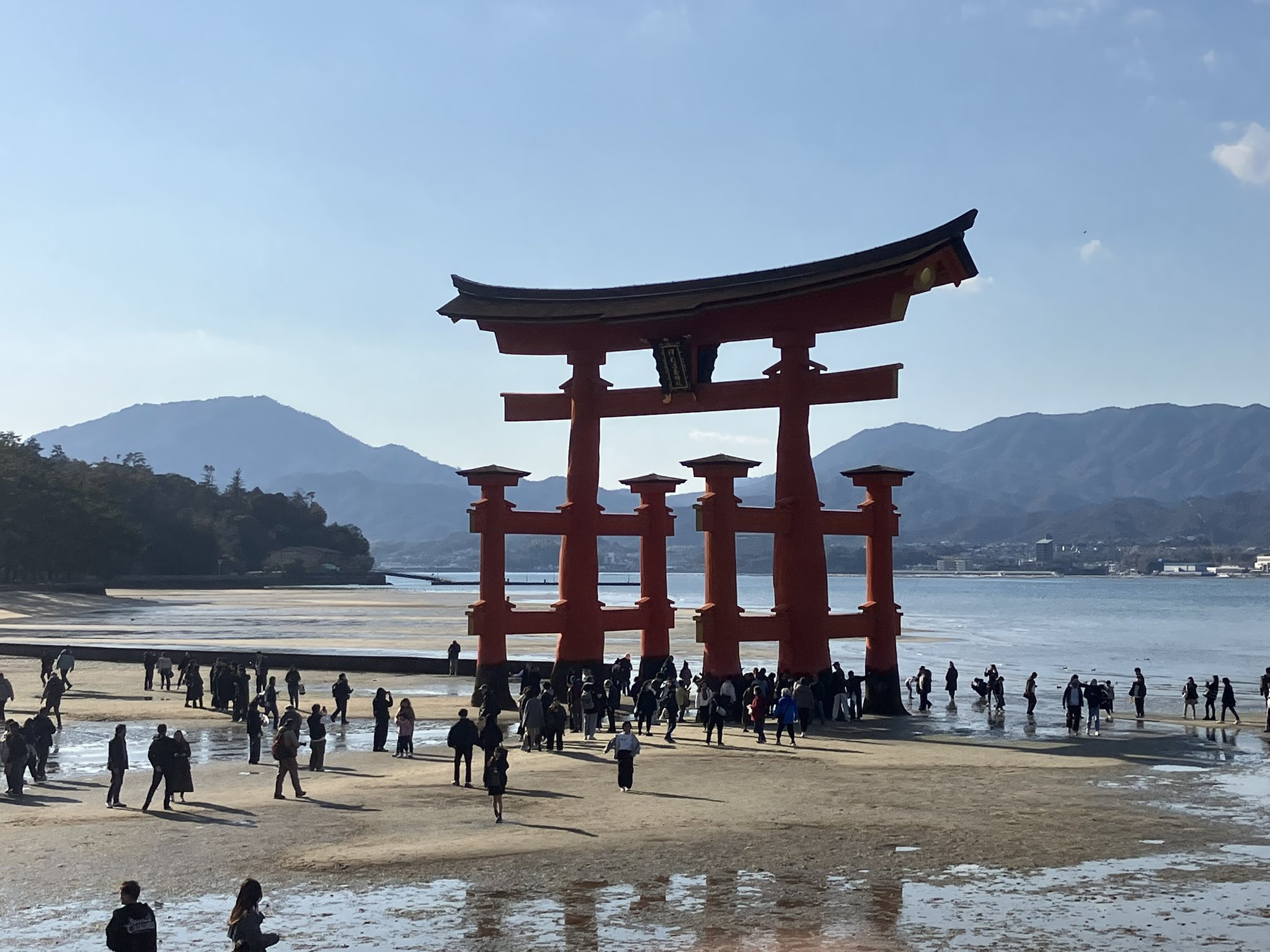 Torii Gates in Japan: The Ultimate Guide to Their Meaning, Designs, and ...