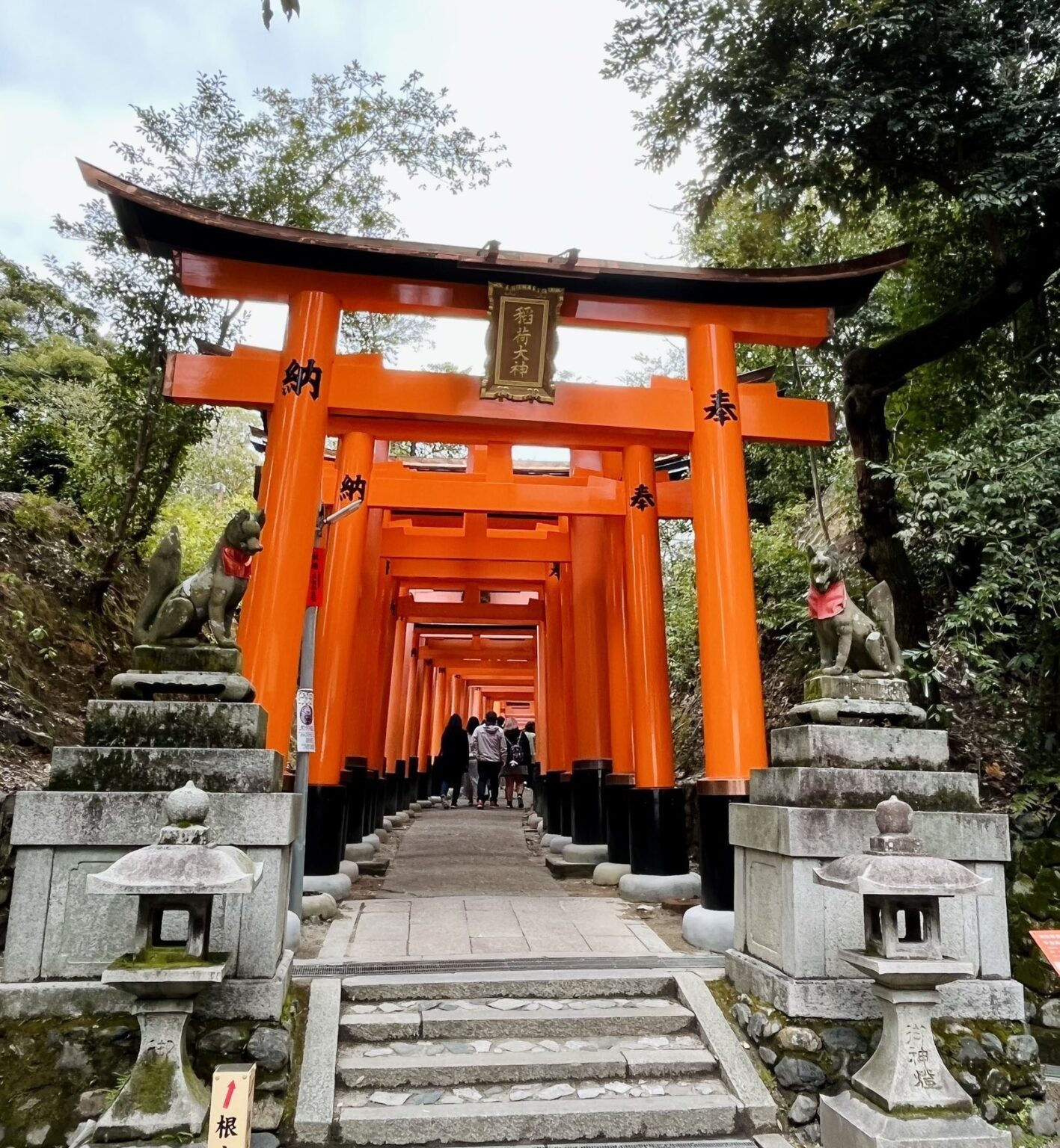 Torii Gates in Japan: The Ultimate Guide to Their Meaning, Designs, and ...