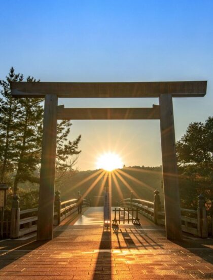 Torii Gates in Japan: The Ultimate Guide to Their Meaning, Designs, and ...