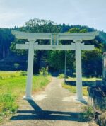 Torii Gates in Japan: The Ultimate Guide to Their Meaning, Designs, and ...