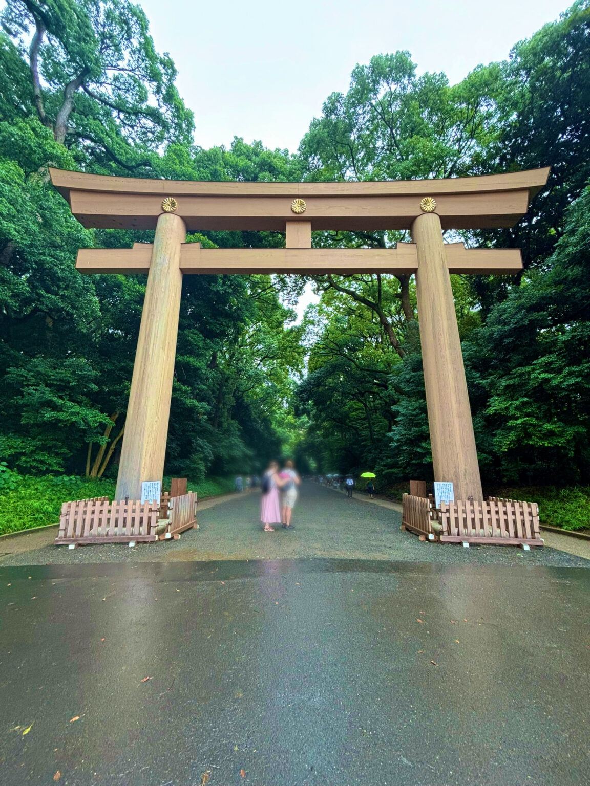 Torii Gates in Japan: The Ultimate Guide to Their Meaning, Designs, and ...