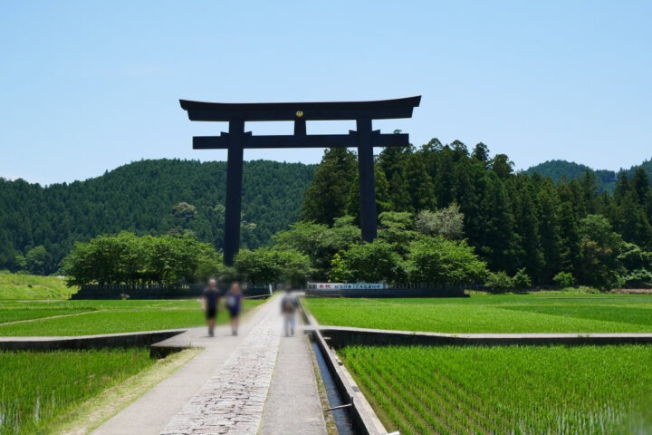 Torii Gates in Japan: The Ultimate Guide to Their Meaning, Designs, and ...