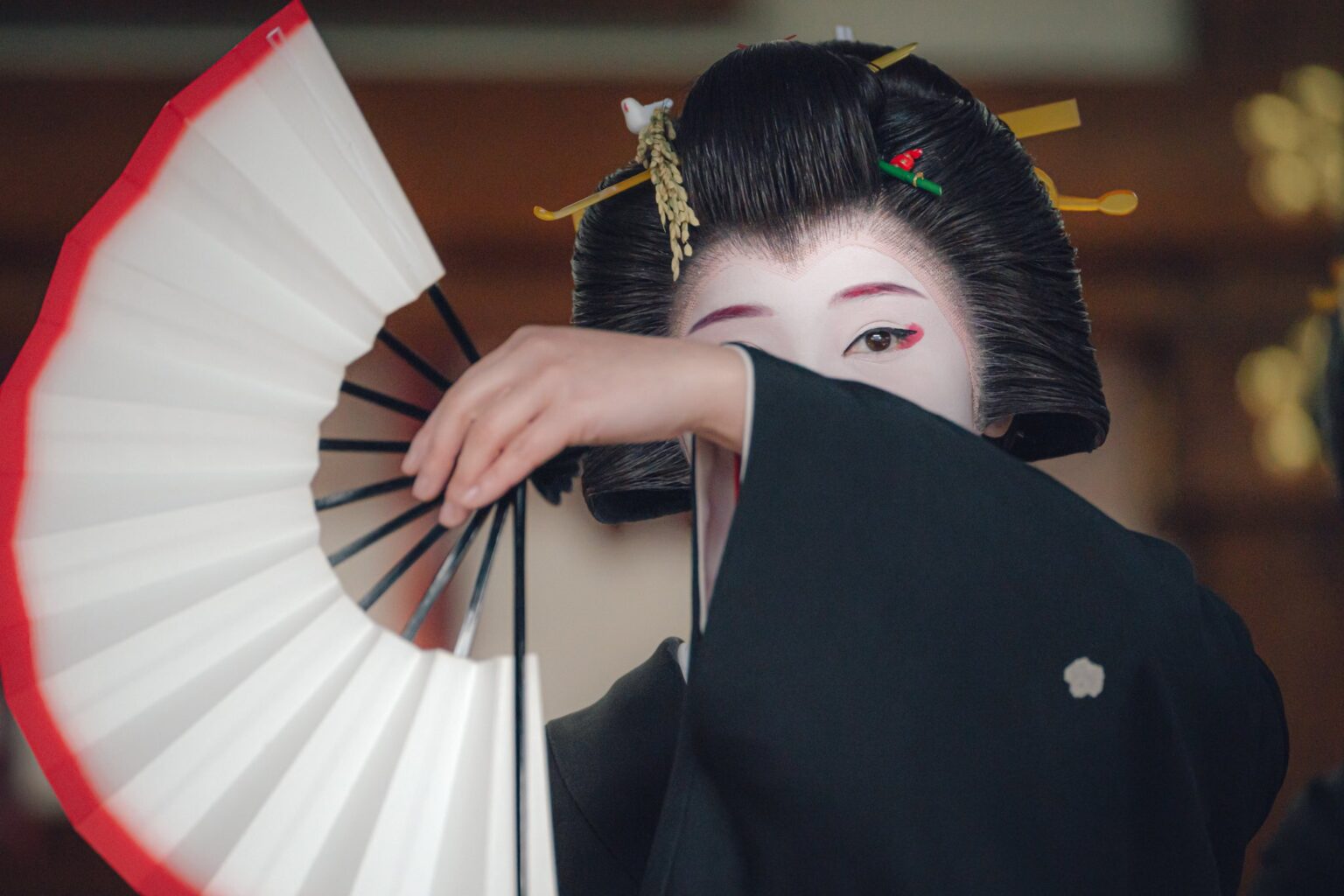 Meet the Geisha of Arima Onsen: Unique Experience at Cafe in Kobe