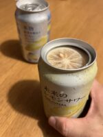 The Future of Lemon Sour: Japan’s Innovative Chuhai You Can’t Miss