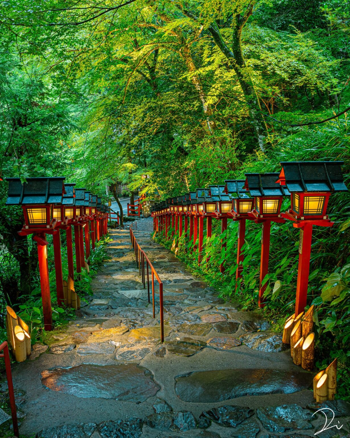 Kyoto_Kifune_shrine_summer_green_light_night | Tabimania Japan