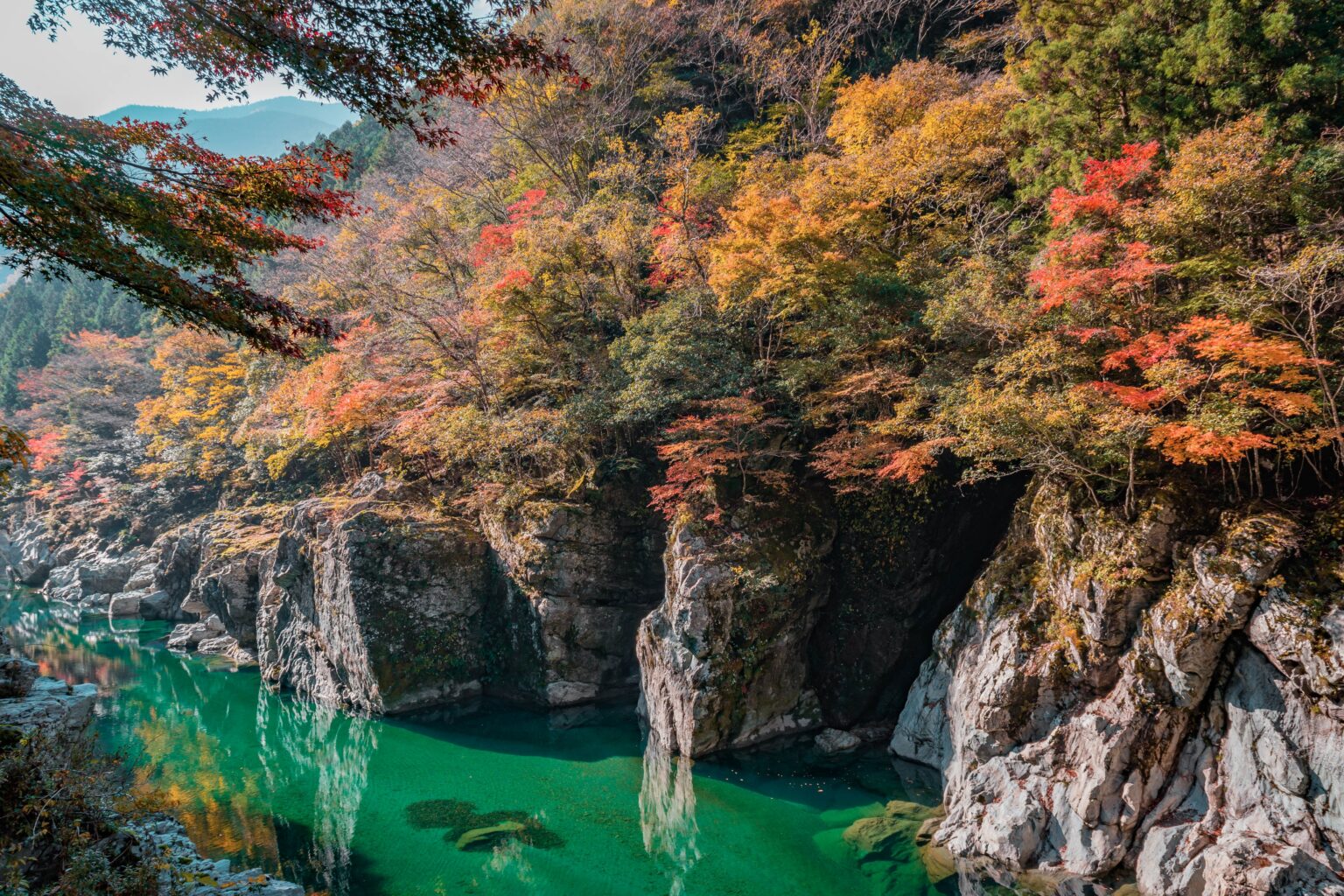 Iya_Valley_fall_red_leaves_yellow_Tokushima | Tabimania Japan
