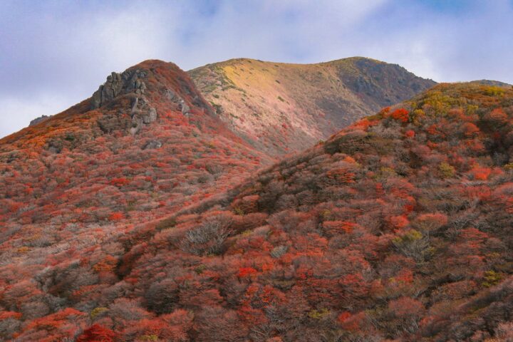 Mt_Kuju_fall_red_leaves_yellow_Oita | Tabimania Japan