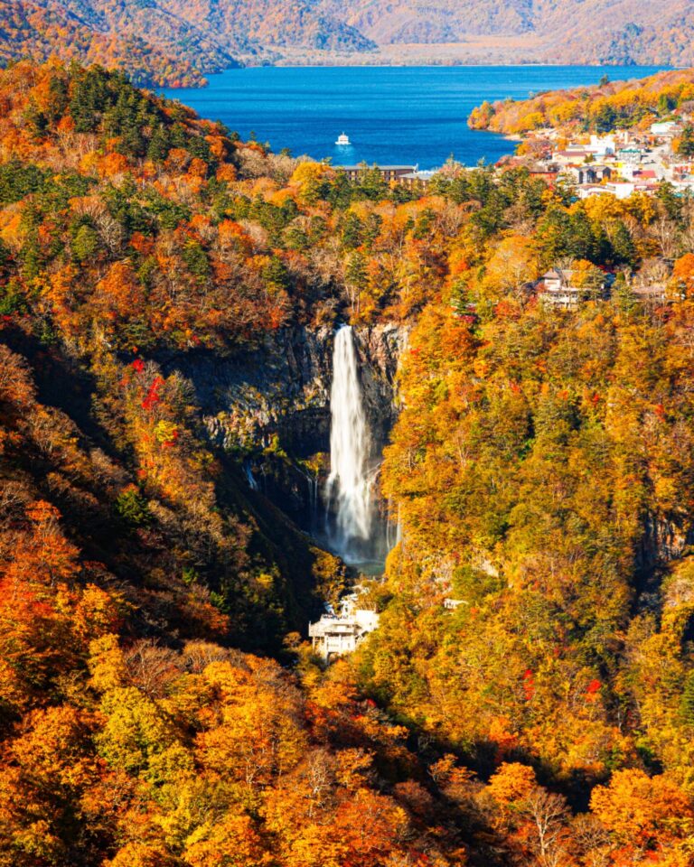 Plan Your Autumn Trip: Japan’s Best Fall Foliage by Region and Timing