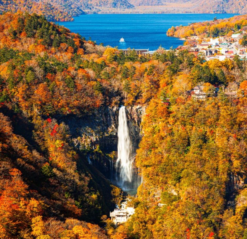 Plan Your Autumn Trip: Japan’s Best Fall Foliage by Region and Timing