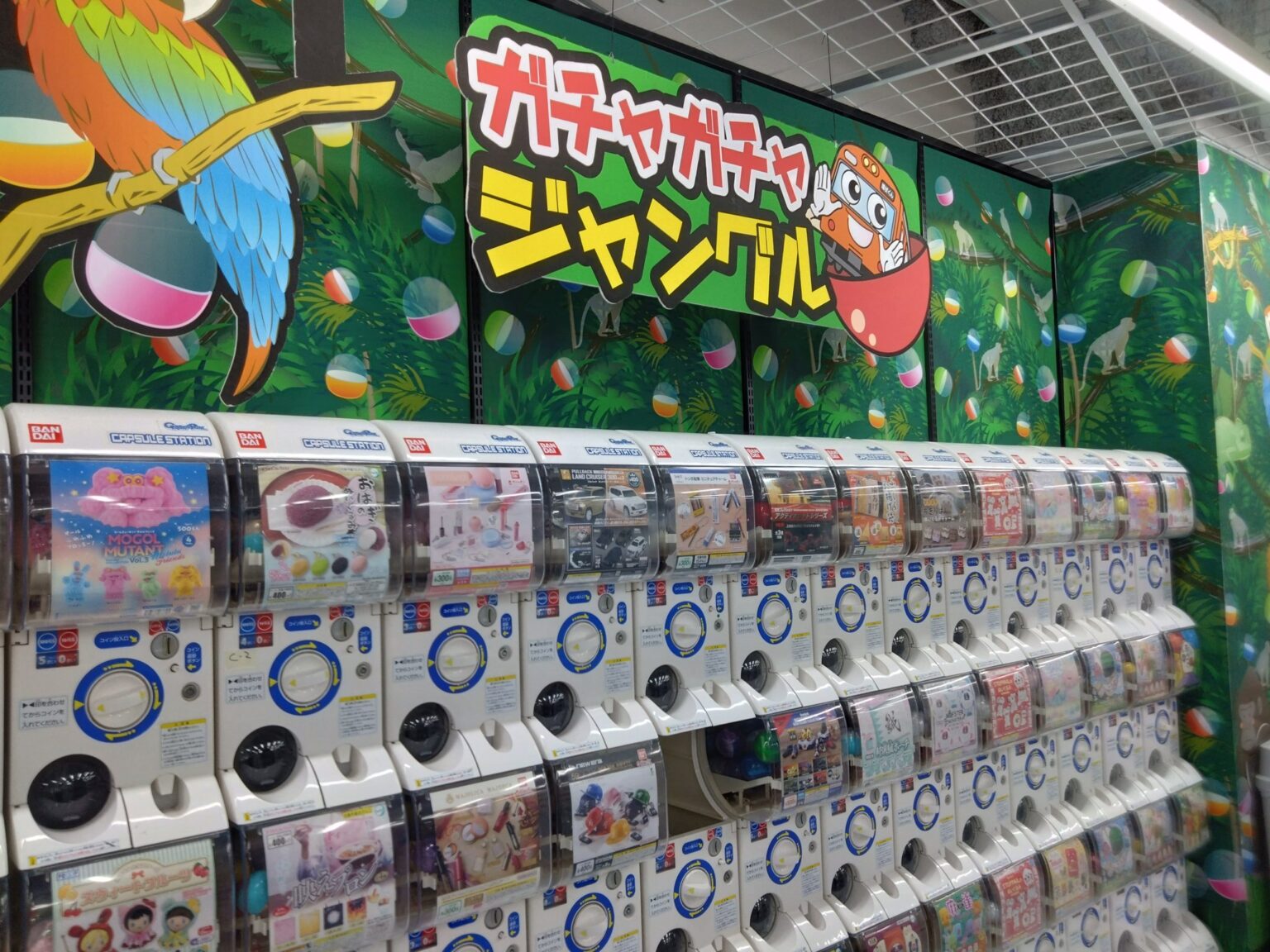 Why Japan’s Gacha Are the Best: Affordable, Unique, and High Quality