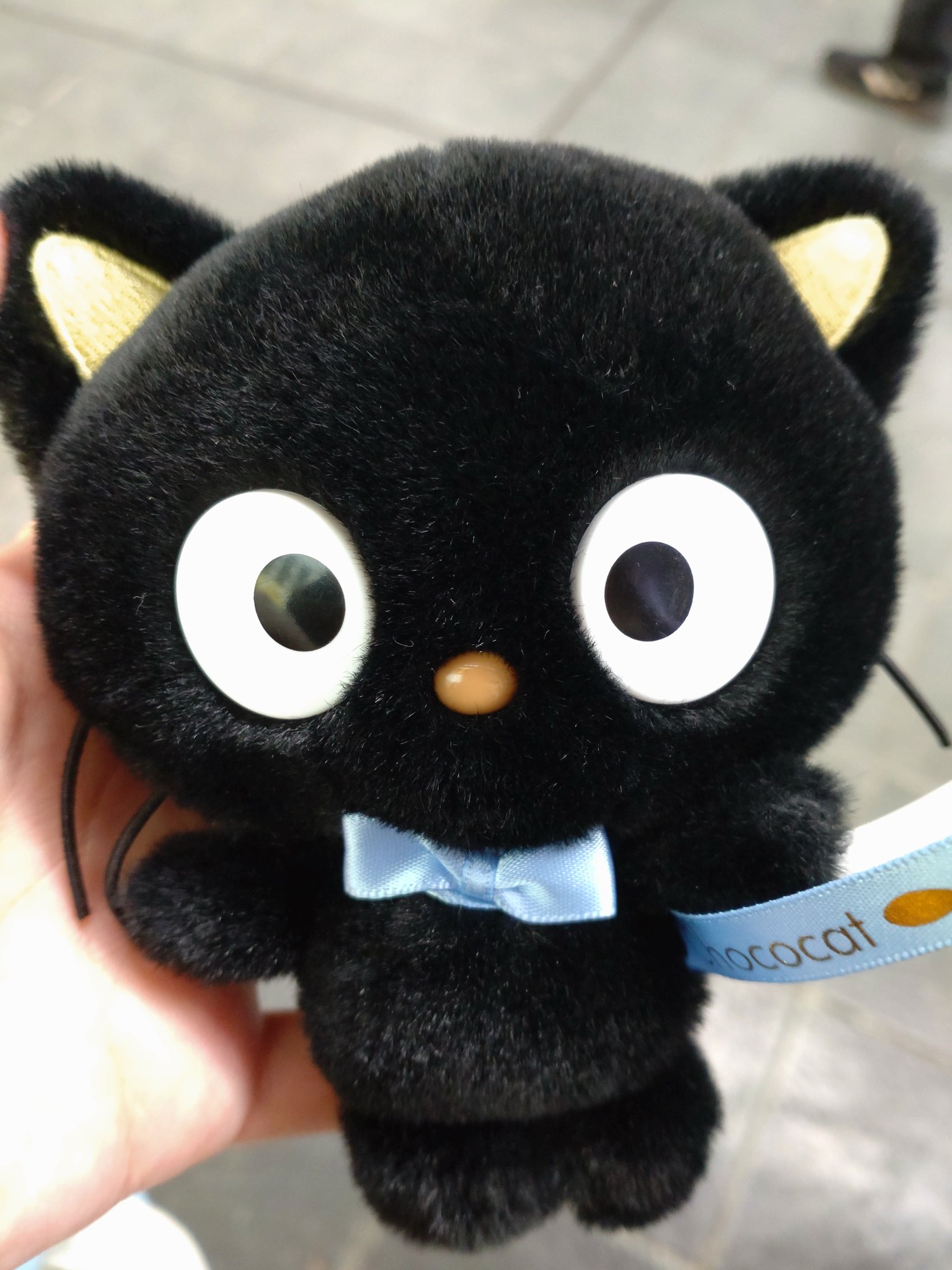 Famous Sanrio Characters and Where to Meet Them in Japan