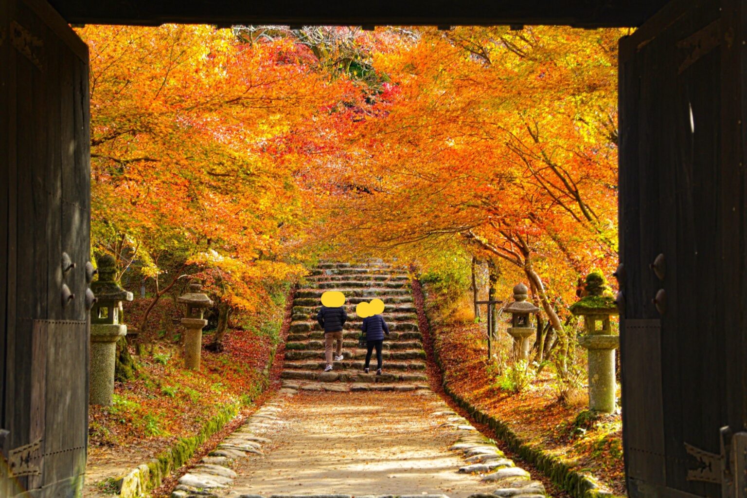 Akizuki Castle Ruin_Fukuoka_Autumn_leaves_red_gate | Tabimania Japan