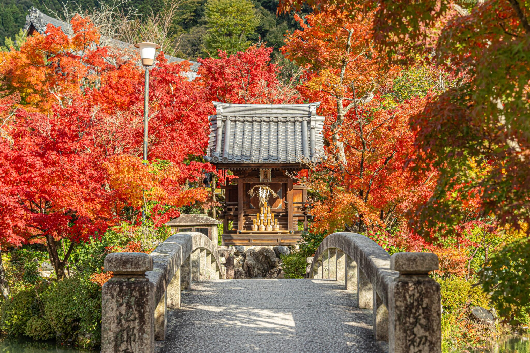 Autumn Leaves in Kyoto Best Spots to See Stunning Fall Colors_Eikando ...
