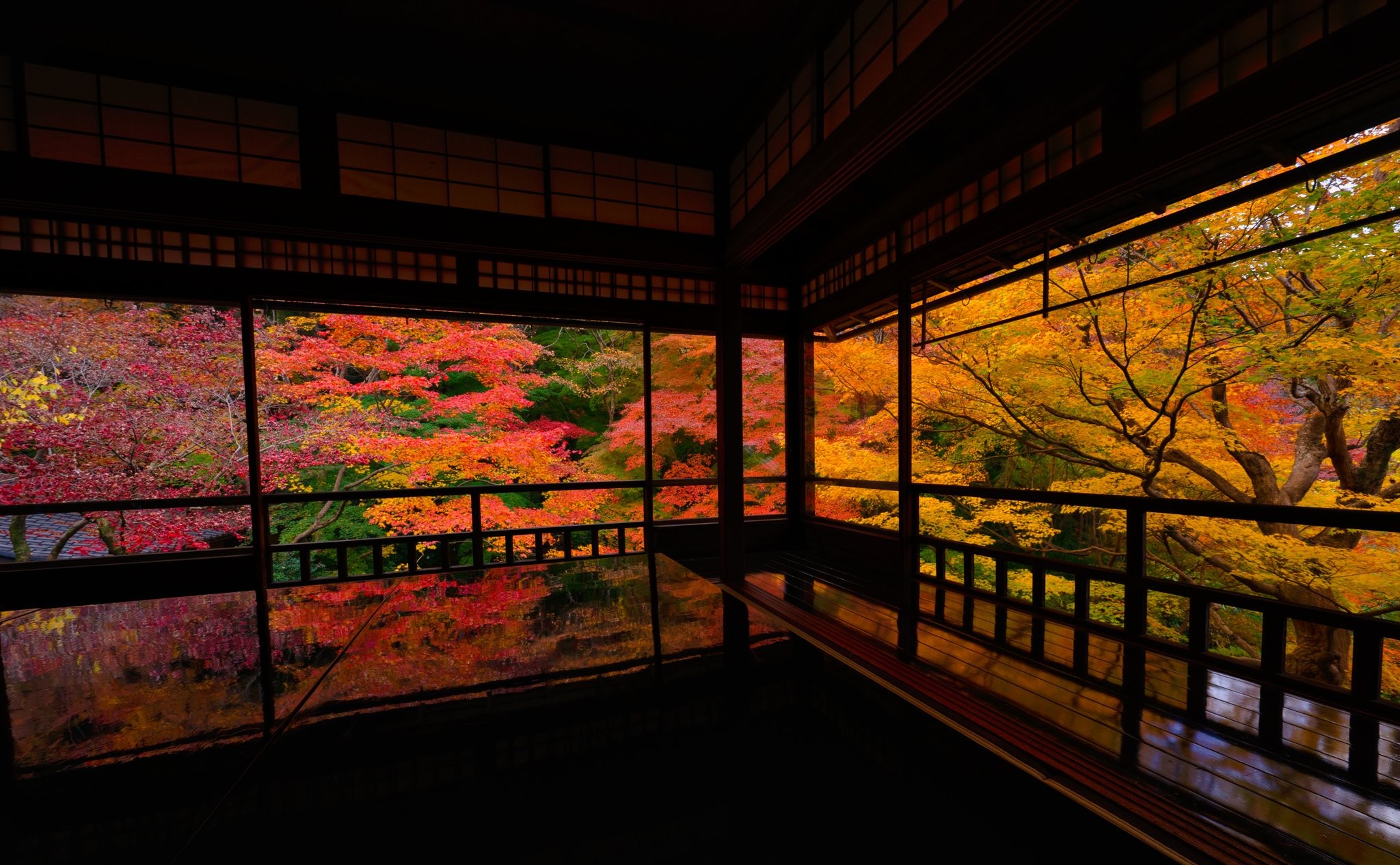 Autumn Leaves in Kyoto: Best Spots to See Stunning Fall Colors