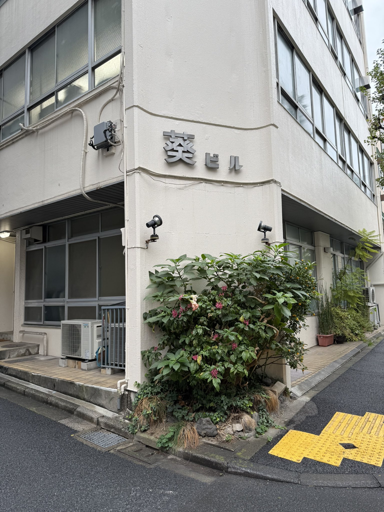 Chainsaw Man Reze Arc Pilgrimage: Real-Life Locations in Tokyo