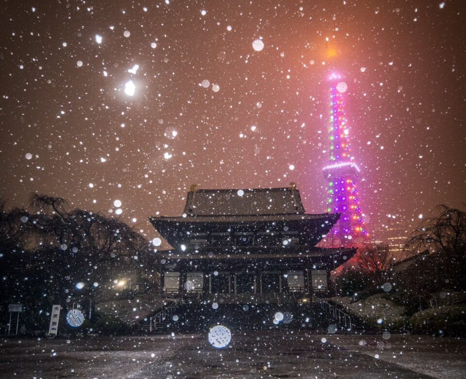 Does It Snow in Tokyo? Winter Weather Guide