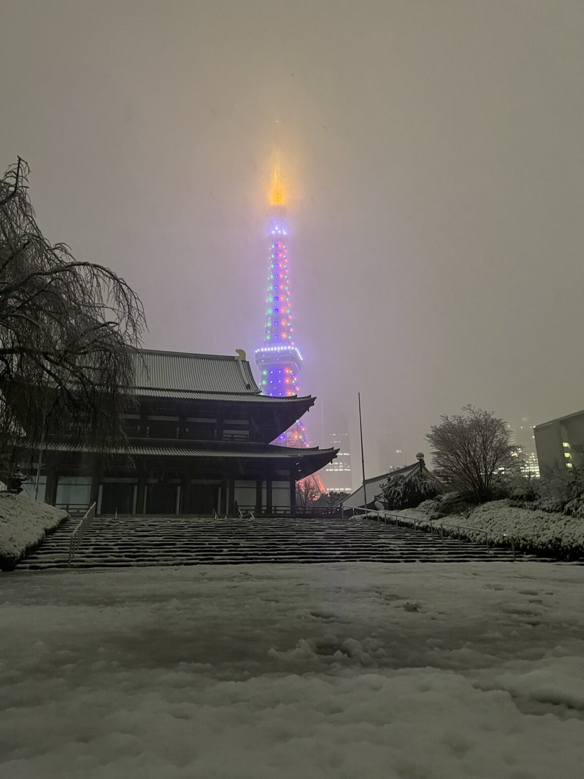 Does It Snow in Tokyo? Winter Weather Guide