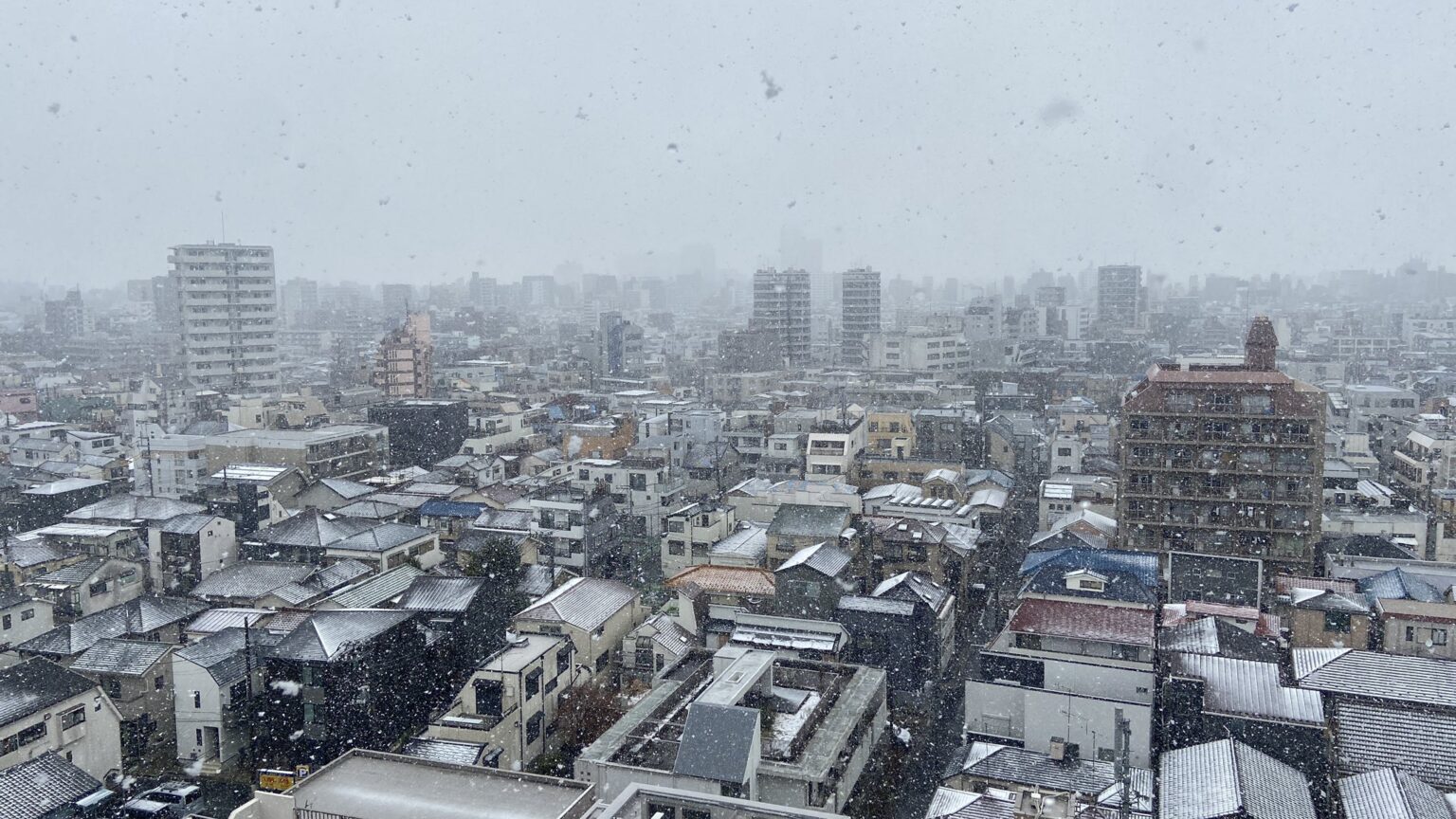Does It Snow in Tokyo? Winter Weather Guide