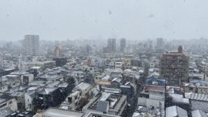 Does It Snow in Tokyo? Winter Weather Guide