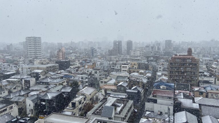 Does It Snow in Tokyo? Winter Weather Guide