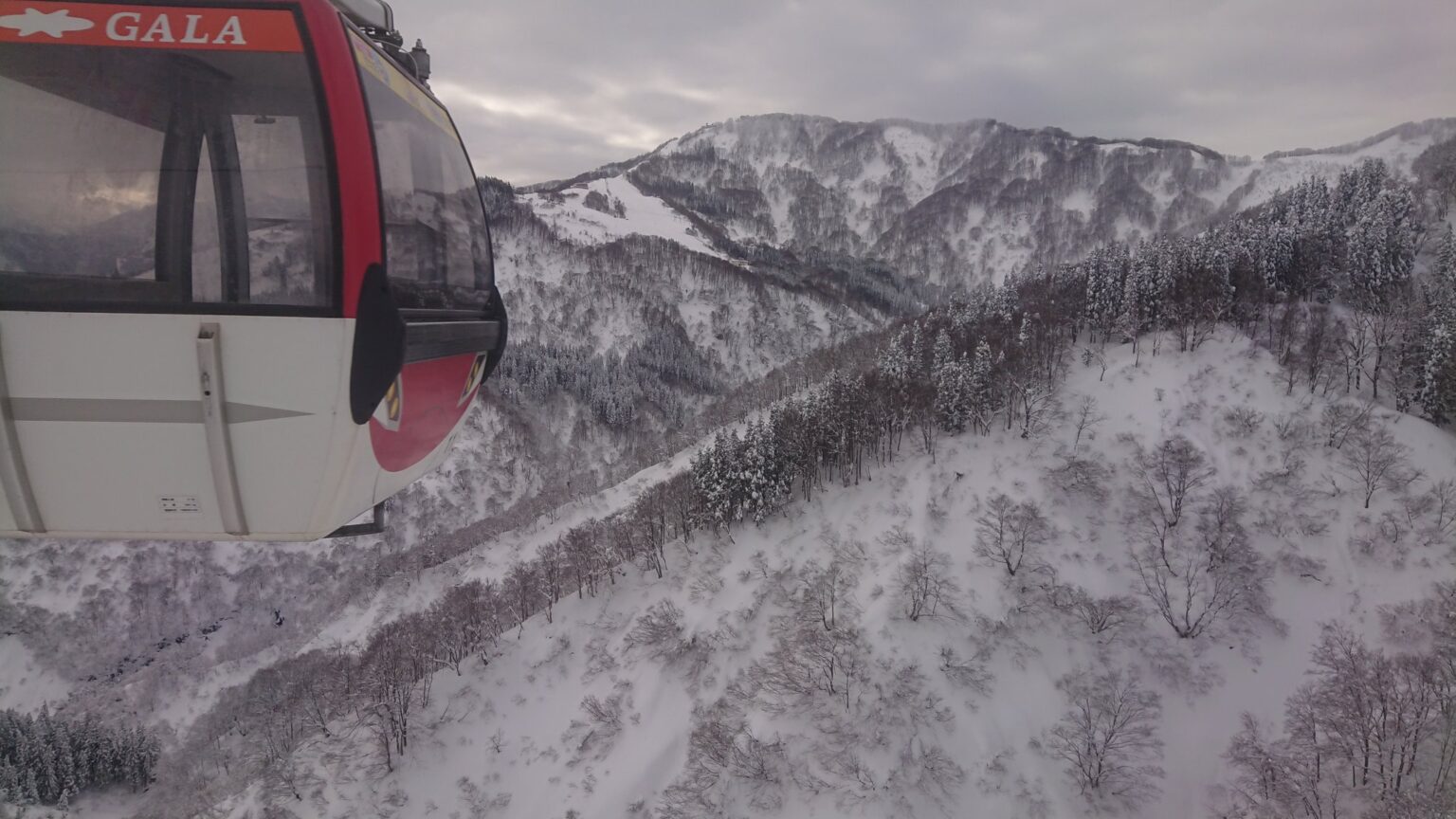 Snow Getaways from Tokyo: 3 Easy Winter Trips to See Snow in Japan