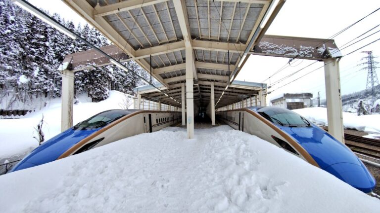 Snow Getaways from Tokyo: 3 Easy Winter Trips to See Snow in Japan