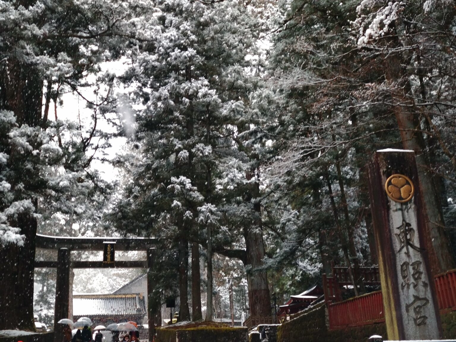Snow Getaways from Tokyo: 3 Easy Winter Trips to See Snow in Japan