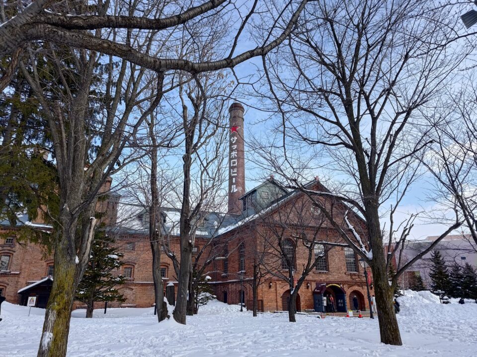 Snow in Sapporo: When It Snows, How Much to Expect, and How to Enjoy It ...