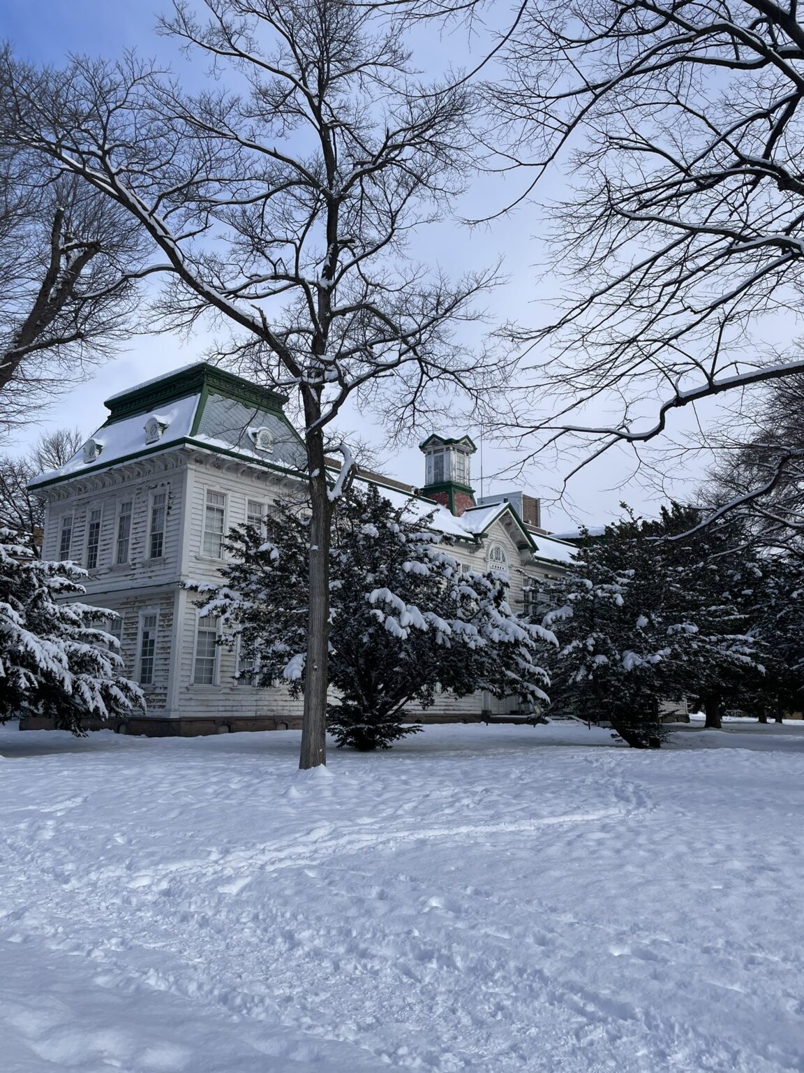 Snow in Sapporo: When It Snows, How Much to Expect, and How to Enjoy It ...