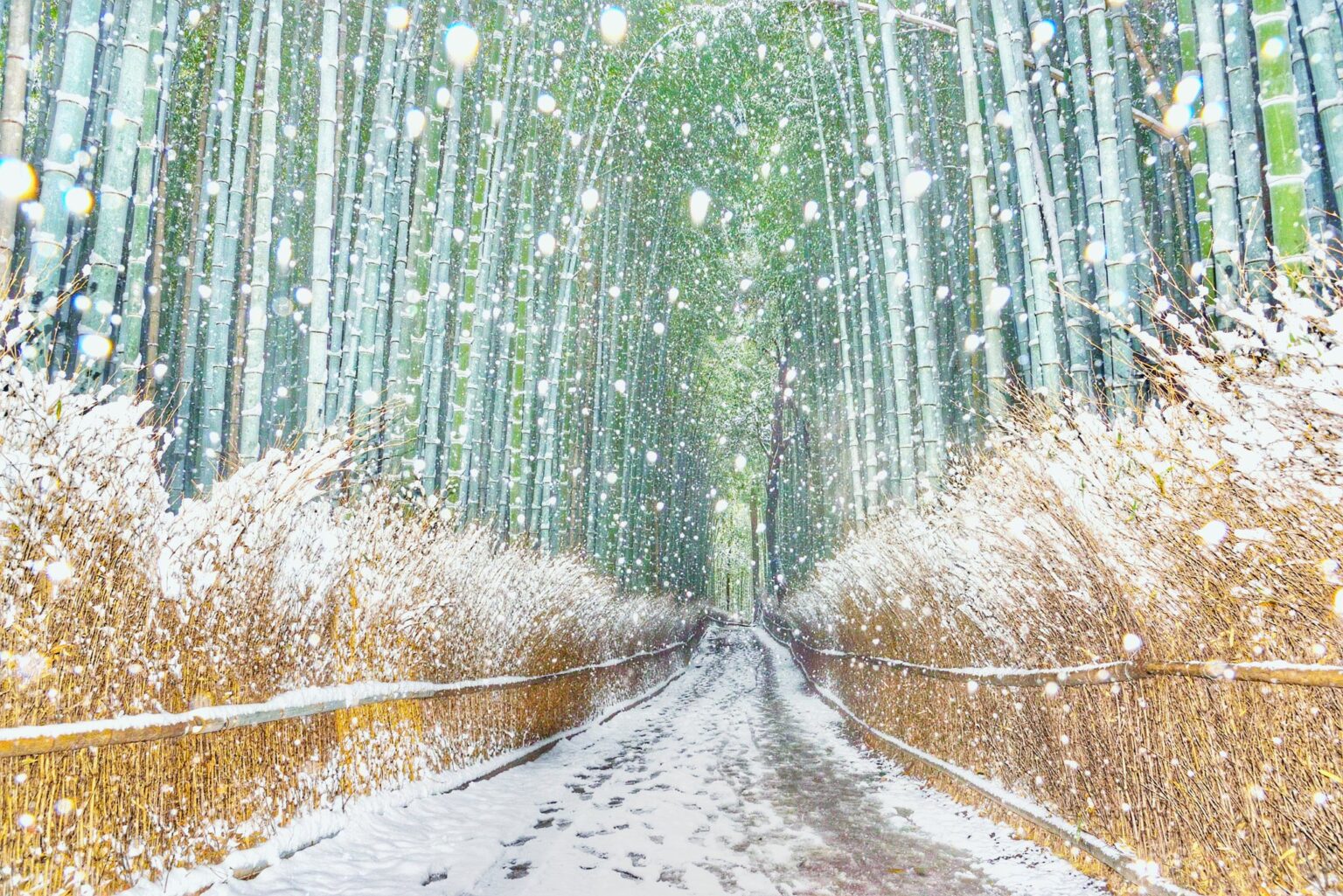 Kyoto in Snow: 7 Rare and Beautiful Winter Views