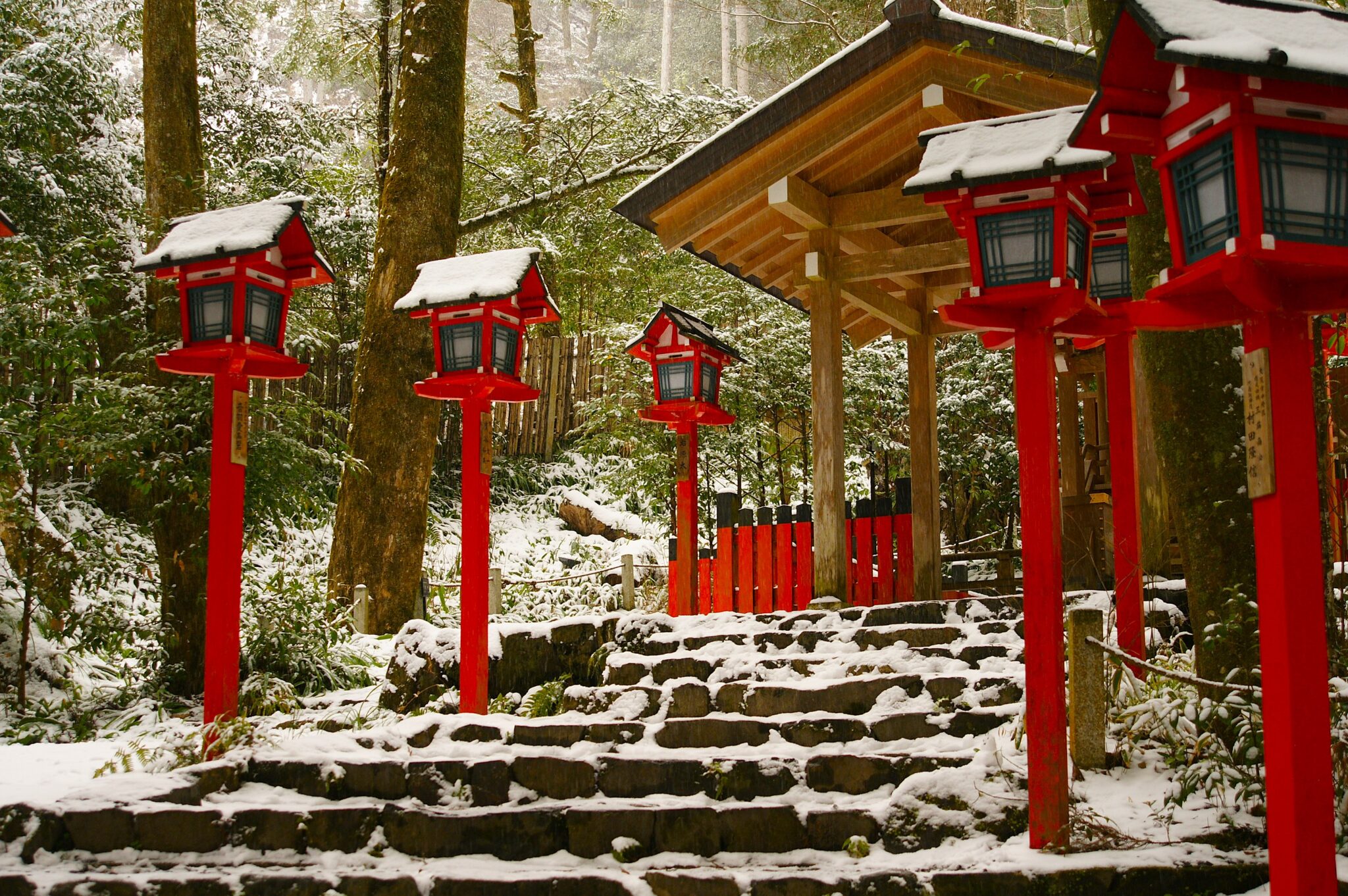 Kyoto in Snow: 7 Rare and Beautiful Winter Views