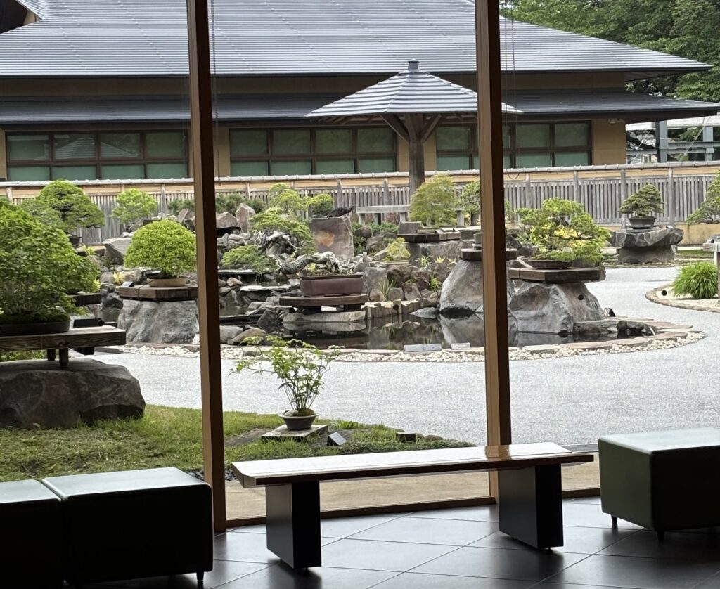 Discover Omiya Bonsai Art Museum – The World’s First Bonsai Museum ...