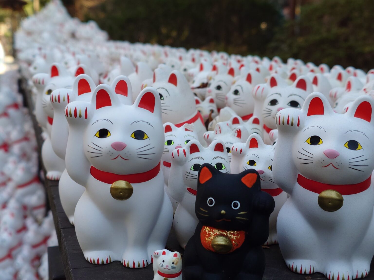 Maneki-neko: The Lucky Cat That Welcomes Fortune in Japan