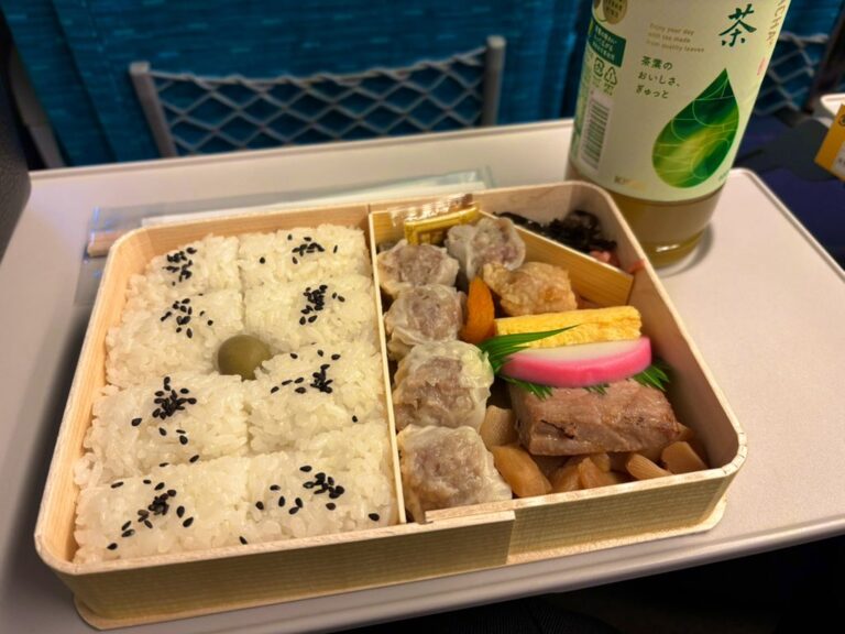Shinkansen Travel Tips Smart Things to Do When Riding Japan’s Bullet ...