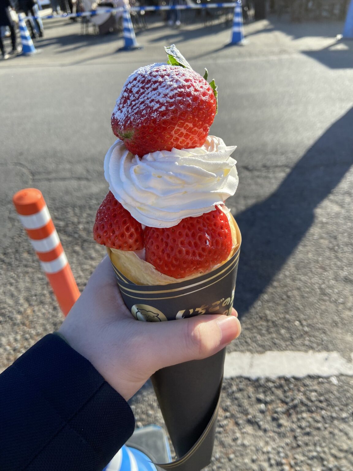 Strawberry Picking in Japan 2026: A Complete Guide for First-Time Visitors