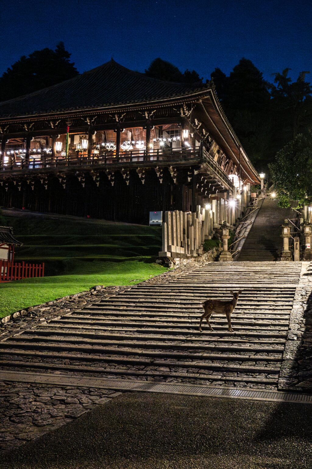 Todai-ji Nigatsu-do A Hidden Sunset Gem in Nara_night_deer | Tabimania ...